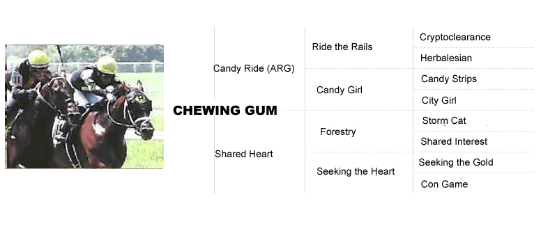 ROCK RIDGE STUD: CHEWING GUM